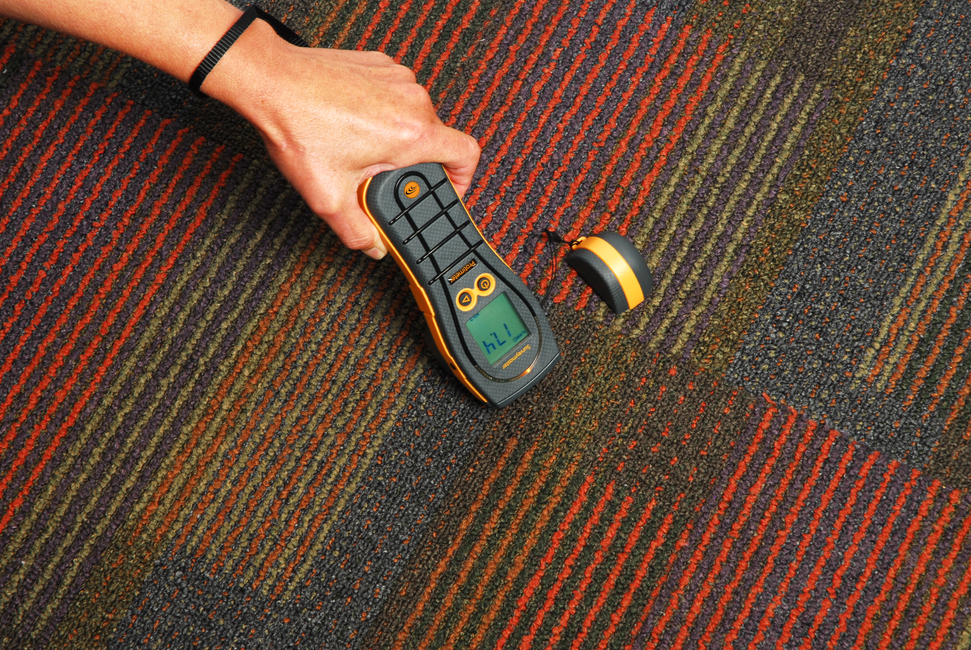 Best moisture meter store